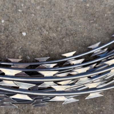 China Cheap Concertina Wire for Sale / Economy Anti-Climb Coil for Farm Fencing for sale