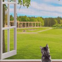 China Pet Proof Invisible Fiberglass Screen Extra Thick And Scratch Resistant Keep Bugs Out And Pets Safe for sale