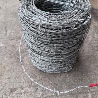 China High Tensile 12 X 12 BWG Double Strand Barbed Wire Galvanized Construction Site Fence for sale