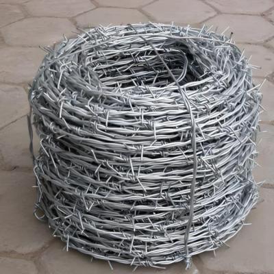 China High Tensile 12 X 12 BWG Double Strand Barbed Wire Galvanized Construction Site Fence for sale
