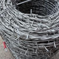 China Reverse Twist Barbed Wire 14 X 14 BWG Galvanized Double Strand Prison Fence 4 Inch Barb for sale