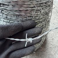 China 304 Stainless Steel Barbed Wire Double Strand 12 X 12 BWG Security Fencing Wire 500m Roll for sale