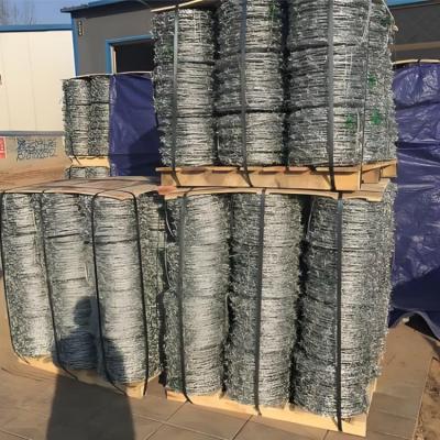 China Traditional Twist Barbed Wire 14 x 14 BWG Galvanized Double Strand Ranch Fence 6 Inch Barb for sale