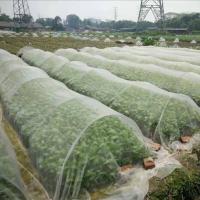 China 40 Mesh General Insect Netting Roll Anti Aphid Whitefly For Green Leafy Vegetables for sale