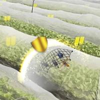 China Polyethylene Woven Anti Aging Insect Netting For Long Term Farm Using for sale