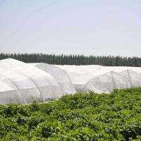 China Nylon Multifilament High Strength Insect Net For Commercial Horticulture for sale
