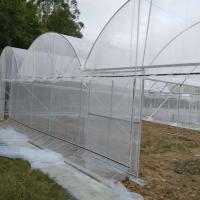 China Nylon Multifilament High Strength Insect Net For Commercial Horticulture for sale