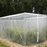 China 60 Mesh Ultra Fine Insect Netting Anti Thrips Mite For High Value Crops for sale
