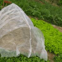 China Virgin HDPE Material Insect Netting Eco Friendly For Agricultural Crop Barrier for sale