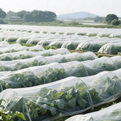 China Virgin HDPE Material Insect Netting Eco Friendly For Agricultural Crop Barrier for sale