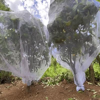 China Heavy Duty Tear Resistant Insect Netting For Orchard Fruit Tree Guard for sale