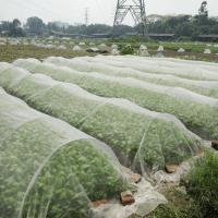 China Weatherproof Garden Insect Mesh Netting Rainproof Windproof For Outdoor Plant Cover for sale