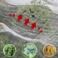 China 100% New Nylon Greenhouse Insect Netting For Vegetable Pest Control for sale