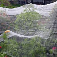 China Fine Mesh Transparent White Insect Mesh High Light Transmission For Flower Nursery for sale