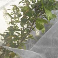 China 100% New Nylon Greenhouse Insect Netting For Vegetable Pest Control for sale
