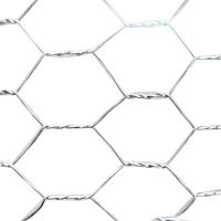 China Fine Mesh Galvanized Gabion Basket - Small Opening Wire Cage for Garden Gabion Wall for sale