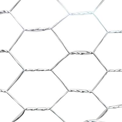 China Fine Mesh Galvanized Gabion Basket - Small Opening Wire Cage for Garden Gabion Wall for sale