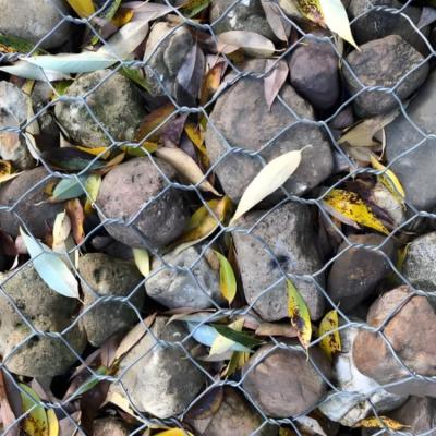 China Heavy Duty Welded Gabion Box Manufacturer Galvanized Steel For Dam And River Bank Protection for sale