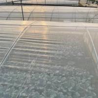 China Chemical - Free Eco Friendly Insect Netting Bug Netting for Organic Vegetable Garden for sale