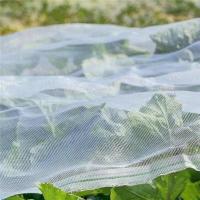 China UV Anti - Aging Heavy Duty Insect Netting Anti - Insect Mesh for Greenhouse Crop Protection for sale