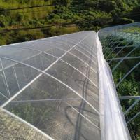 China UV Anti - Aging Heavy Duty Insect Netting Anti - Insect Mesh for Greenhouse Crop Protection for sale