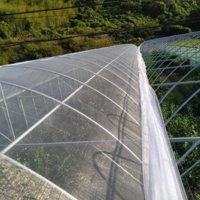 China UV Anti - Aging Heavy Duty Insect Netting Anti - Insect Mesh for Greenhouse Crop Protection for sale