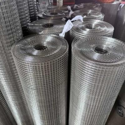 China 316L Stainless Steel Welded Mesh Roll 1/4 Inch 22 Gauge for Aquarium Filter for sale