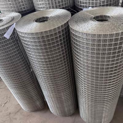 China 304 Stainless Steel Welded Mesh Roll 6x6 Inch 10 Gauge for Heavy Duty Construction Fencing for sale