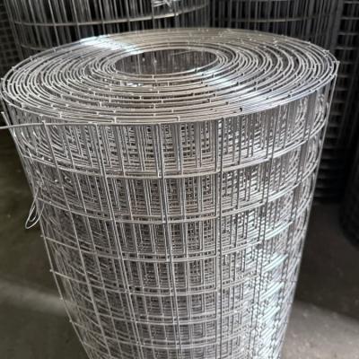 China 304 Stainless Steel Welded Wire Mesh Roll 3/4 Inch 19 Gauge for Poultry Cage for sale