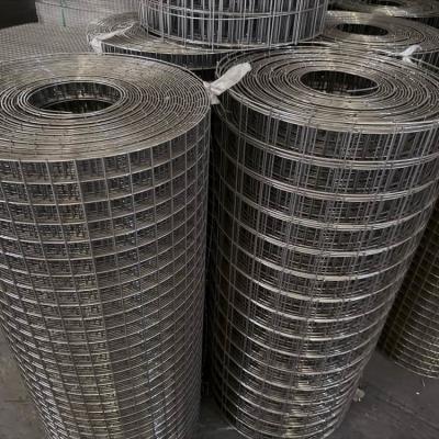 China 316L Stainless Steel Welded Mesh Roll 1/2 Inch 20 Gauge for Oil Filtration Screen for sale