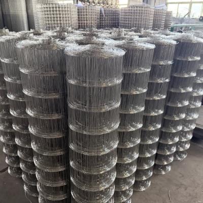 China Stainless Steel Welded Mesh Roll 1 Inch 16 Gauge for Compost Sifter and Garden Soil Screen for sale