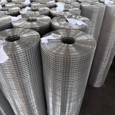 China 304 Stainless Steel Welded Mesh Roll 1/2 Inch 16 Gauge for Garden Fence for sale