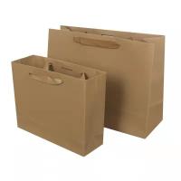 China Luxury Christmas Cosmetics Jewellery Paper Bag Shopping Tote Bag Art Paper for sale
