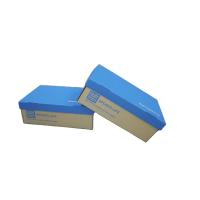 China CMYK Kids Shoe Packaging Box Folders Coated Paper For Gift for sale