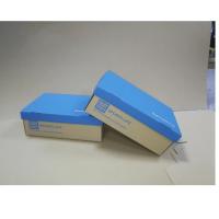 China Custom Printed Shoe Box Paper Packaging Recyclable 4c Offset Printing for sale