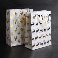 China Customized gold foiled logo paper gift shopping bag for sale