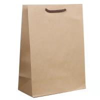 China brown craft Promotional Paper Bags Zipper Top for Shoes clothing for sale