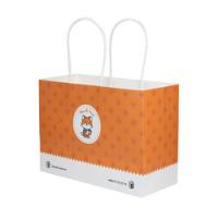 China Clothing Gift Jewelry Custom Printed Paper Bags 150gsm 210gsm 250gsm Thickness for sale