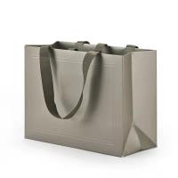 China Coated Paper Custom Printed Gift Bags With Handle Offset printing for sale