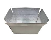 China Custom Paper Type Paperboard Fruit And Vegetable  for Transporting Frozen Cold Insulated Shipping Packaging Carton Box for sale