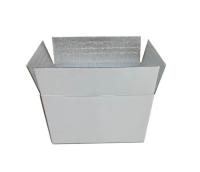 China Custom Paper Type Paperboard Fruit And Vegetable  for Transporting Frozen Cold Insulated Shipping Packaging Carton Box for sale
