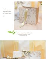 China Customized Custom Paper Gift Bags Featuring Latest Style Ideal for Retail Packaging Corporate Gifts and Special Occasions for sale