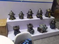 China Hydraulic Piston Pump A11VO95EP2D/10R for Excavator 95cc Stock Available for sale