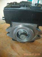 China Hydraulic Pump and Motor A10VG45 for Excavator Rotary Drilling Machinery 45cc for sale