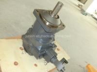 China Single Cylinder Hydraulic Pump A7VO107 A7VO160 for Road Machinery Drilling Rig for sale