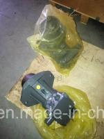 China A2FE125/61W-VZL171 Hydraulic Piston Motor 125cc for Paver BV Certified for sale