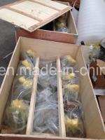 China Hydraulic Piston Motor A6VE55 for Land Leveller Grader 55cc High Efficiency for sale