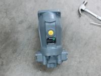 China Hydraulic Piston Motor A2FM160 A2FM180 Series for Crawler Crane Drum 250cc for sale