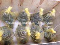 China A6VE107HD1D Hydraulic Piston Motor 107cc for Excavator Paving Machinery for sale