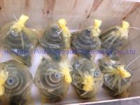 China Drum Roller A6VE107 Series Hydraulic Motor with Competitive for sale
